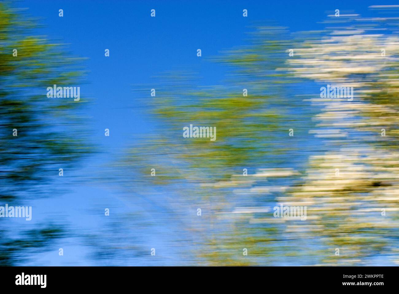 Blurred trees movement from car hi-res stock photography and images - Alamy