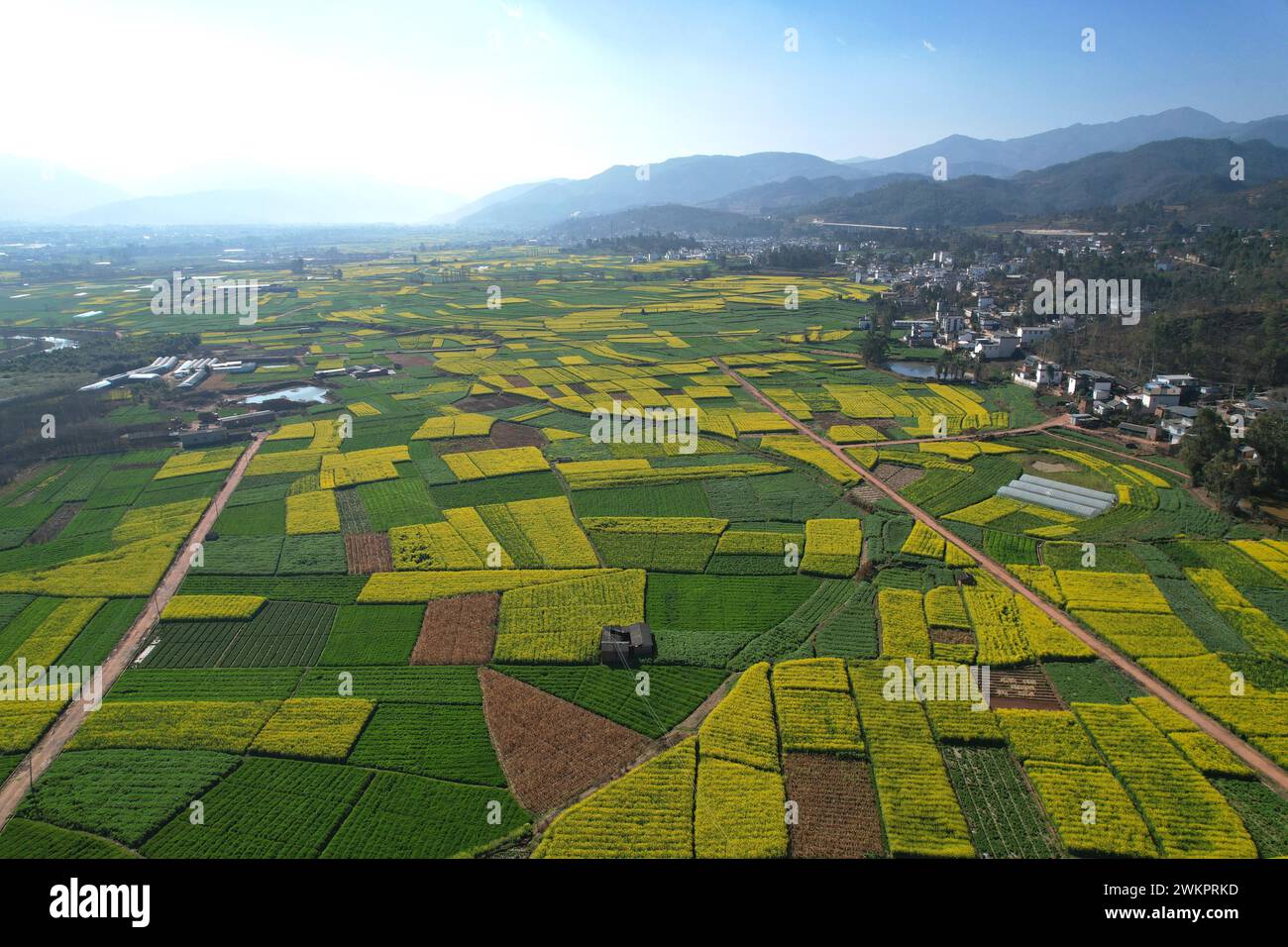 Aerial photo shows the cole flower field in Xinyun Village, Miaojie ...