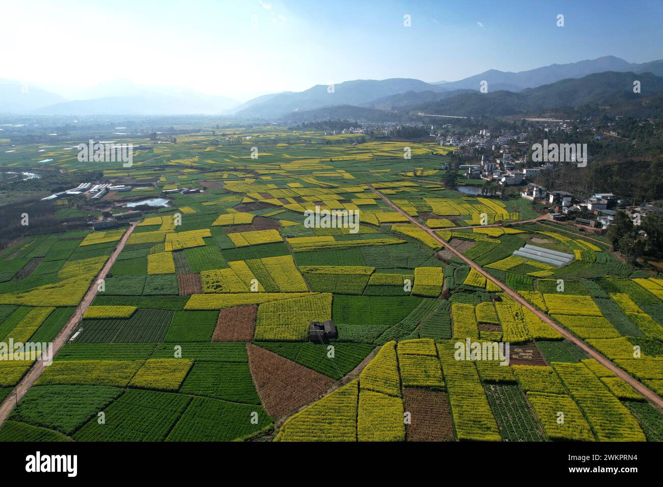 Aerial photo shows the cole flower field in Xinyun Village, Miaojie ...
