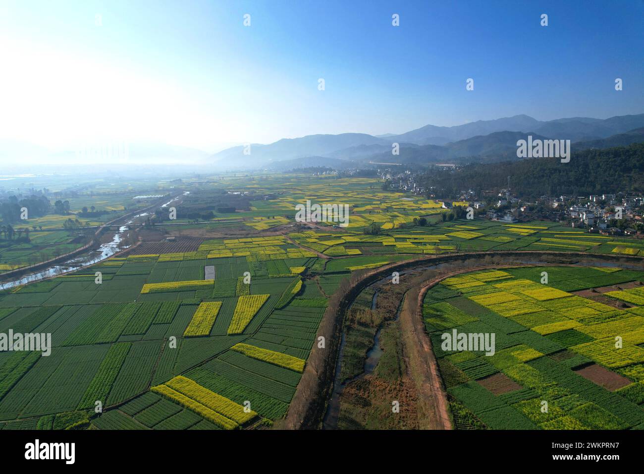 Aerial photo shows the cole flower field in Xinyun Village, Miaojie ...