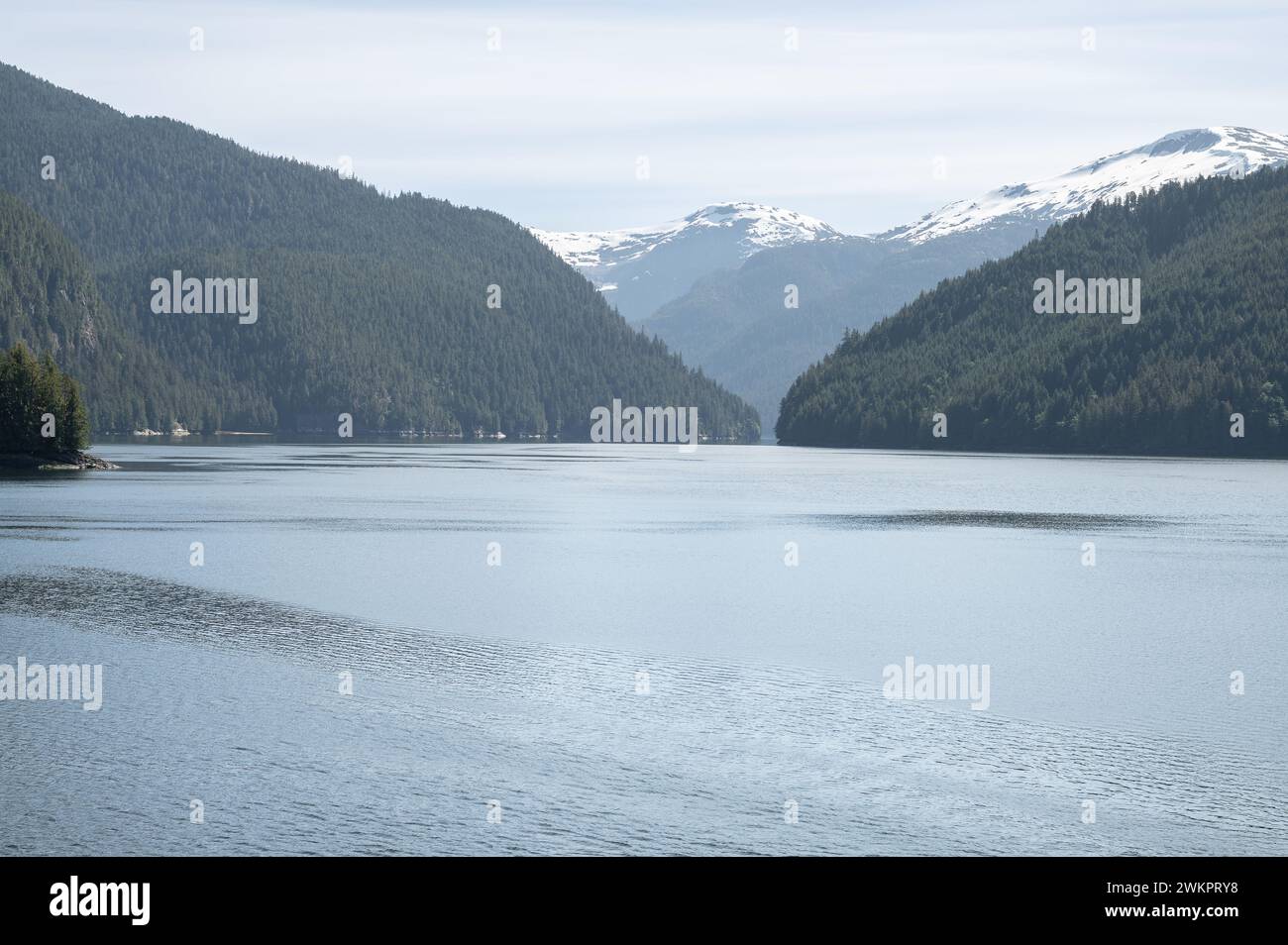 The inside passage with Princess Royal Island in British Columbia ...