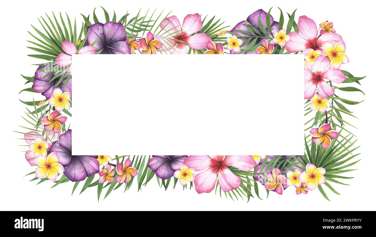 Fame tropic plant palm, hibiscus. plumeria flower isolated white ...