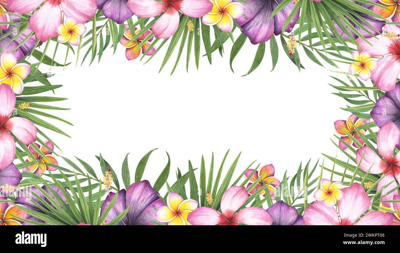 Fame tropic plant palm, hibiscus. plumeria flower isolated white ...