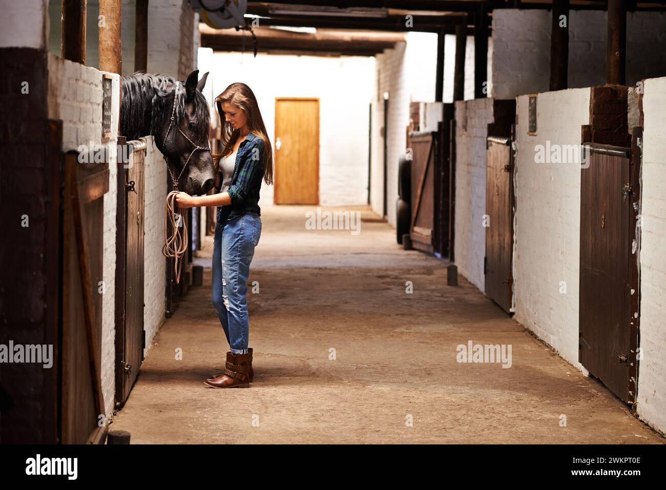 Woman, face and smile with horse in stable for bonding, sports training ...