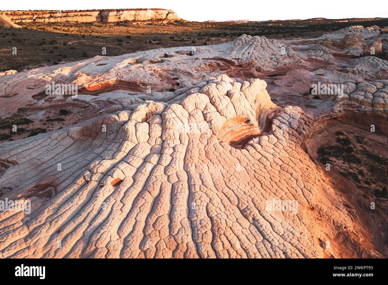 UNITED STATES OF AMERICA, ARIZONA, WHITE POCKET: The White Pocket is an ...