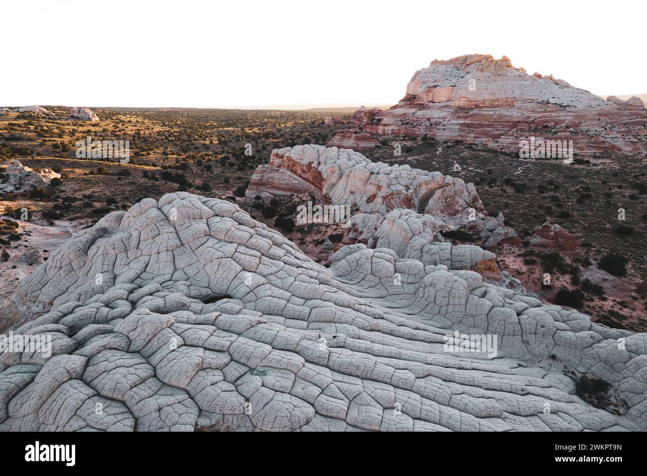 UNITED STATES OF AMERICA, ARIZONA, WHITE POCKET: The White Pocket is an ...