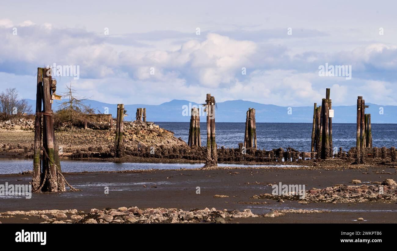 The old breakwater and decaying piles from a historic ocean wharf at a ...