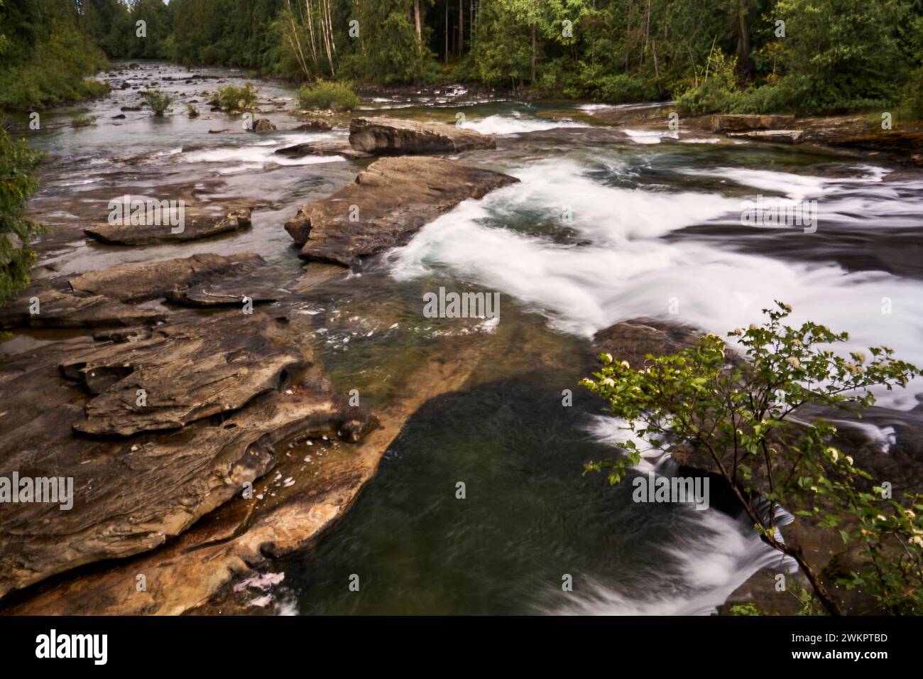 Scenic white water rushing over flat limestone rocks at a popular ...