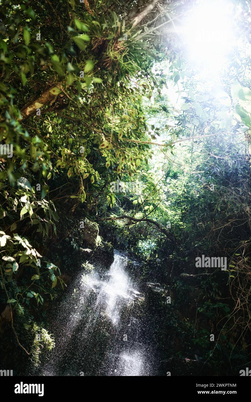 Waterfall, rainforest and trees on landscape with sunshine, growth and ...