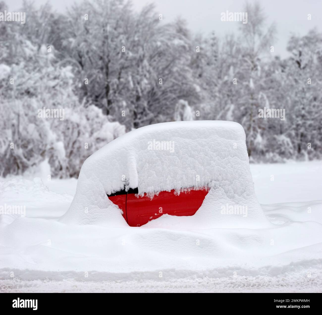a red Smart, a tiny car, parked and completely covered in snow, winter ...