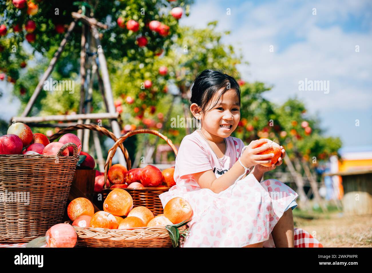 A smiling girl enjoys an apple amidst the orchard Stock Photo - Alamy