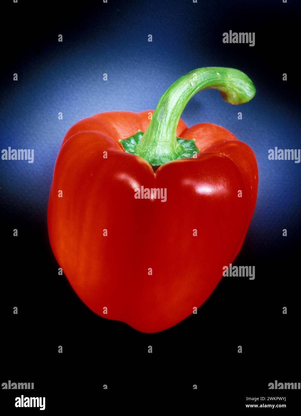 red paprika bell pepper studio Stock Photo - Alamy