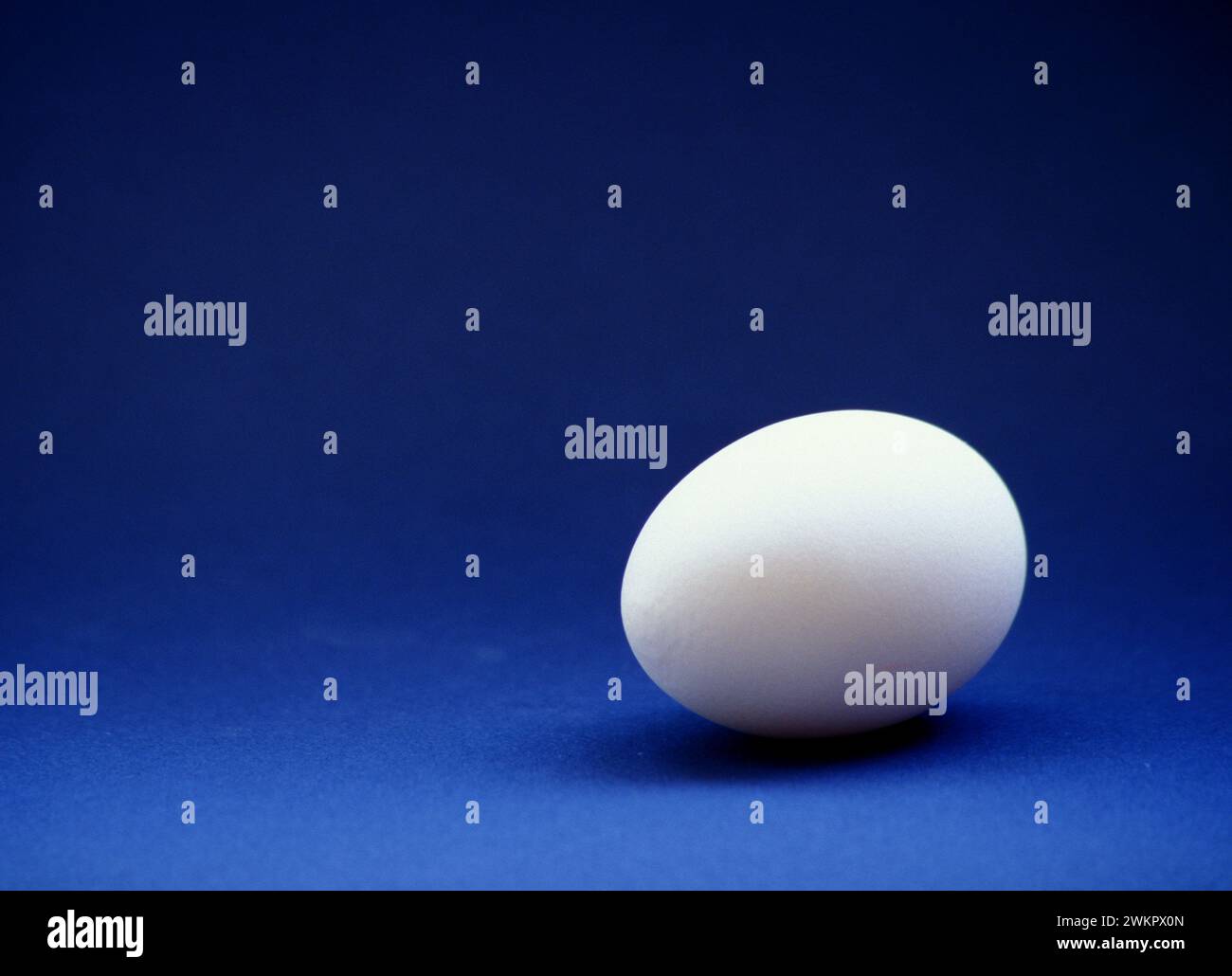 Hen chicken art hi-res stock photography and images - Alamy