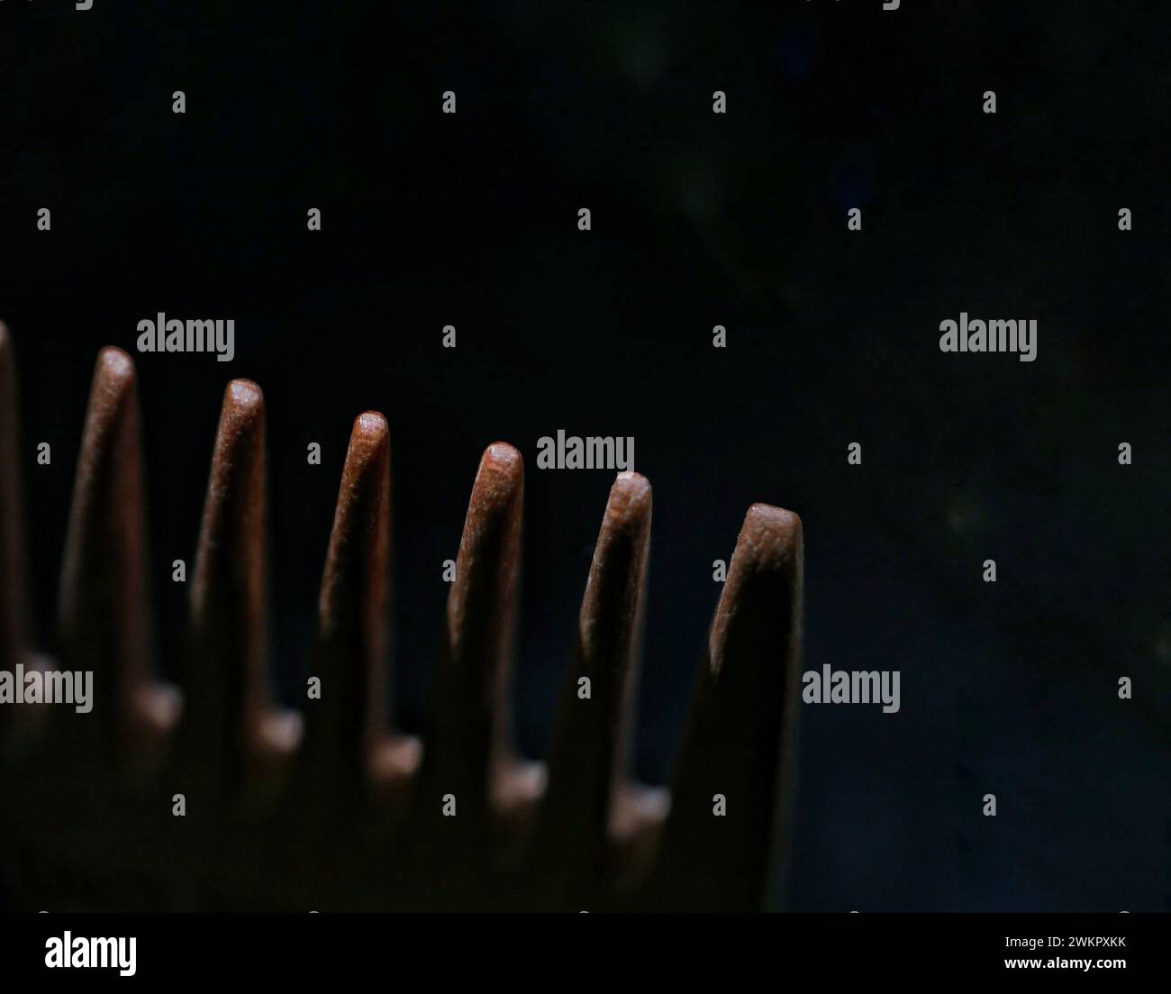 Brown metal teeth on wooden combs, closeup view Stock Photo - Alamy