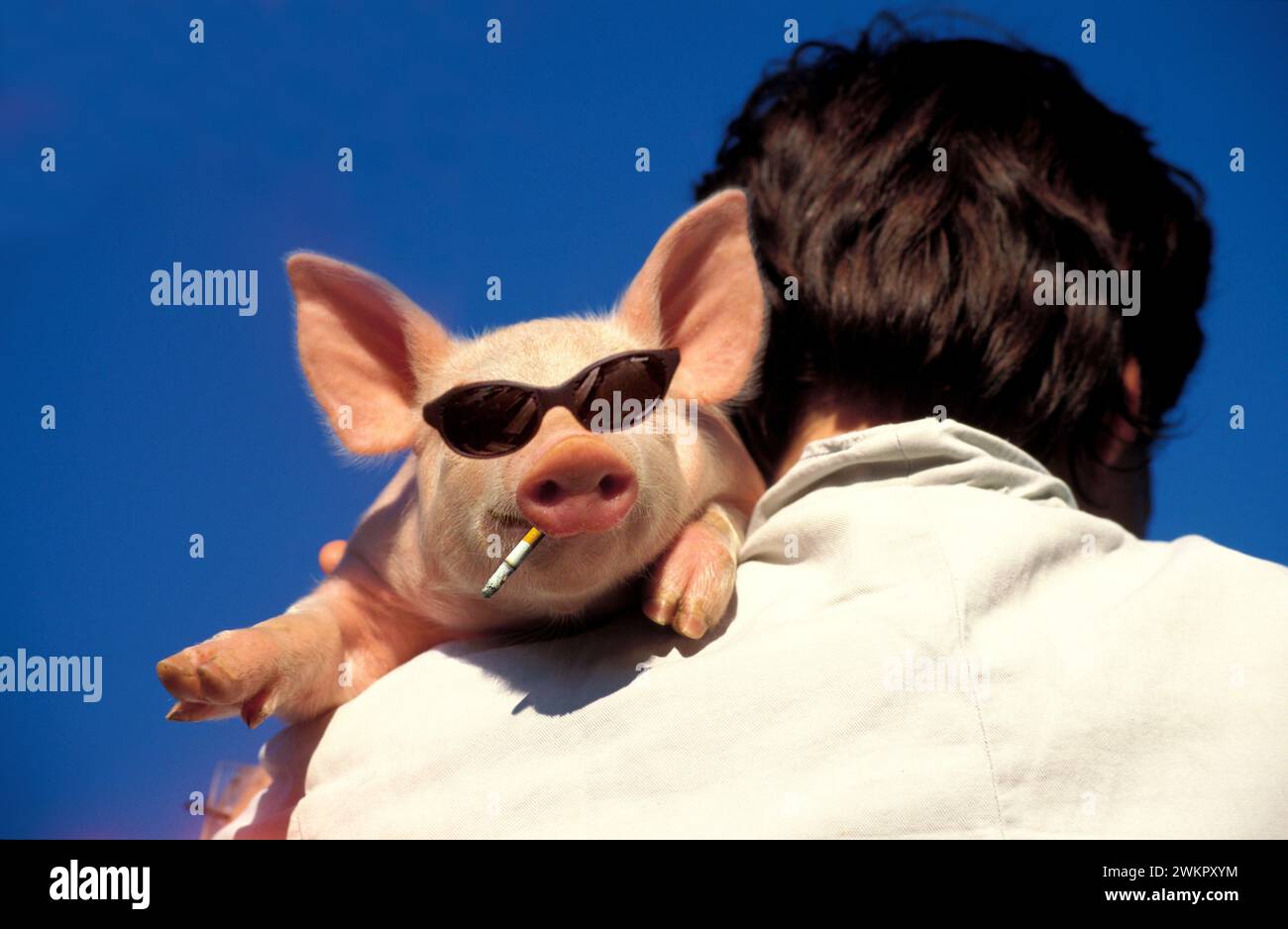 Pig glasses hi-res stock photography and images - Alamy