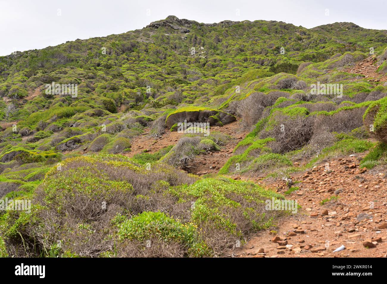 Aeromorphism hi-res stock photography and images - Alamy