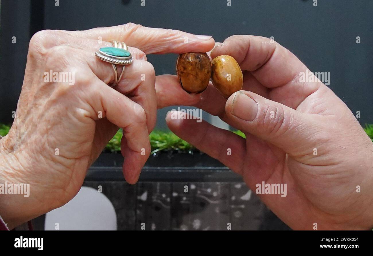 The hands of Julia Baird, sister of John Lennon and Roag Best, brother ...