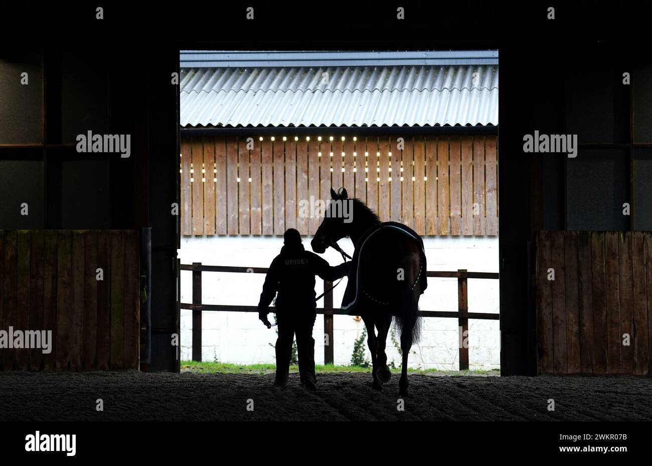 Horse Constitution Hill during a visit to Nicky Henderson's yard at ...