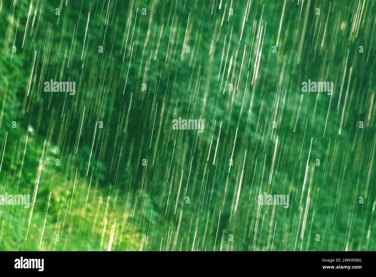 many bright raindrops of a rain shower against green background, motion ...