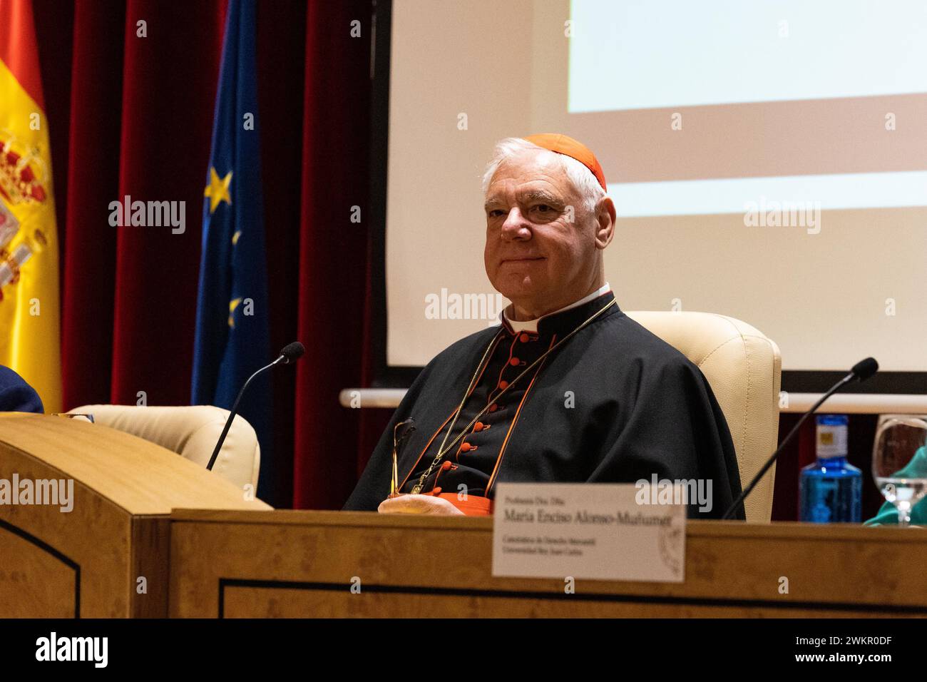 Cardinal gerhard ludwig müller hi-res stock photography and images - Alamy