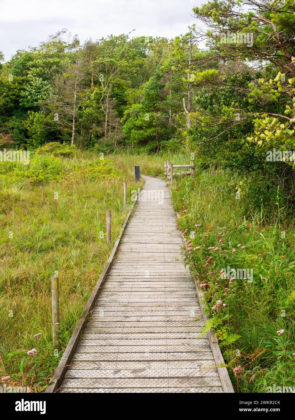 Gait Barrows National Nature Reserve, North West England Stock Photo ...