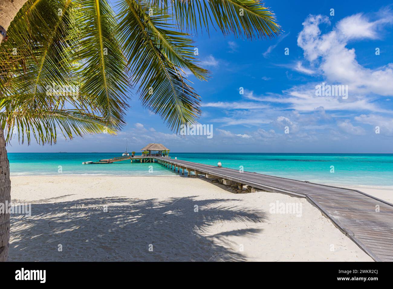 Idyllic tropical beach landscape for background or wallpaper. Design of ...