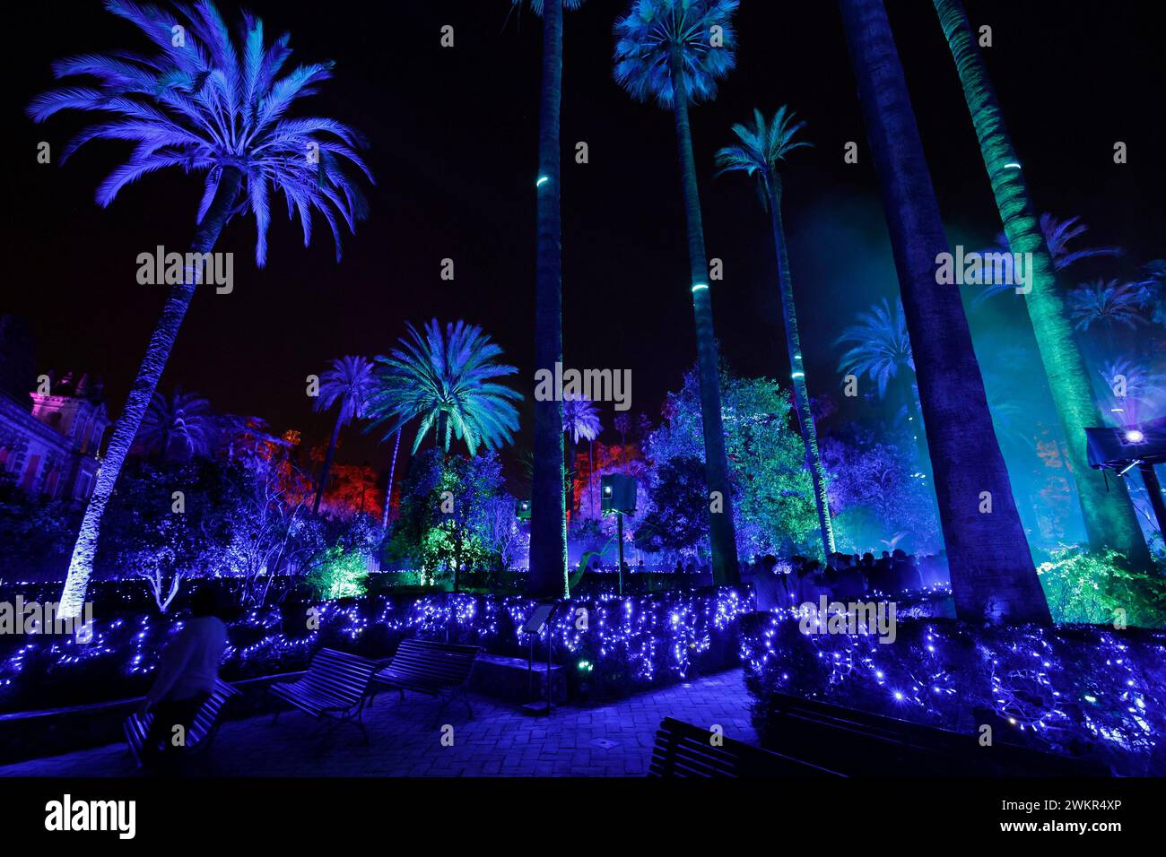 Seville, 02/14/2024. Inauguration of Nature Encendida in the Real ...