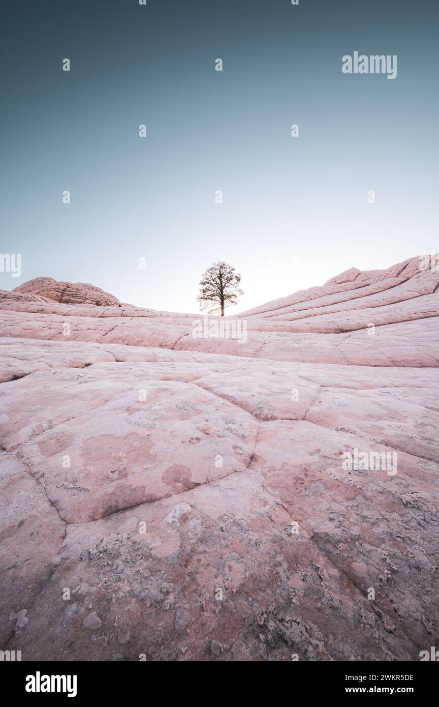 UNITED STATES OF AMERICA, ARIZONA, WHITE POCKET: The White Pocket is an ...
