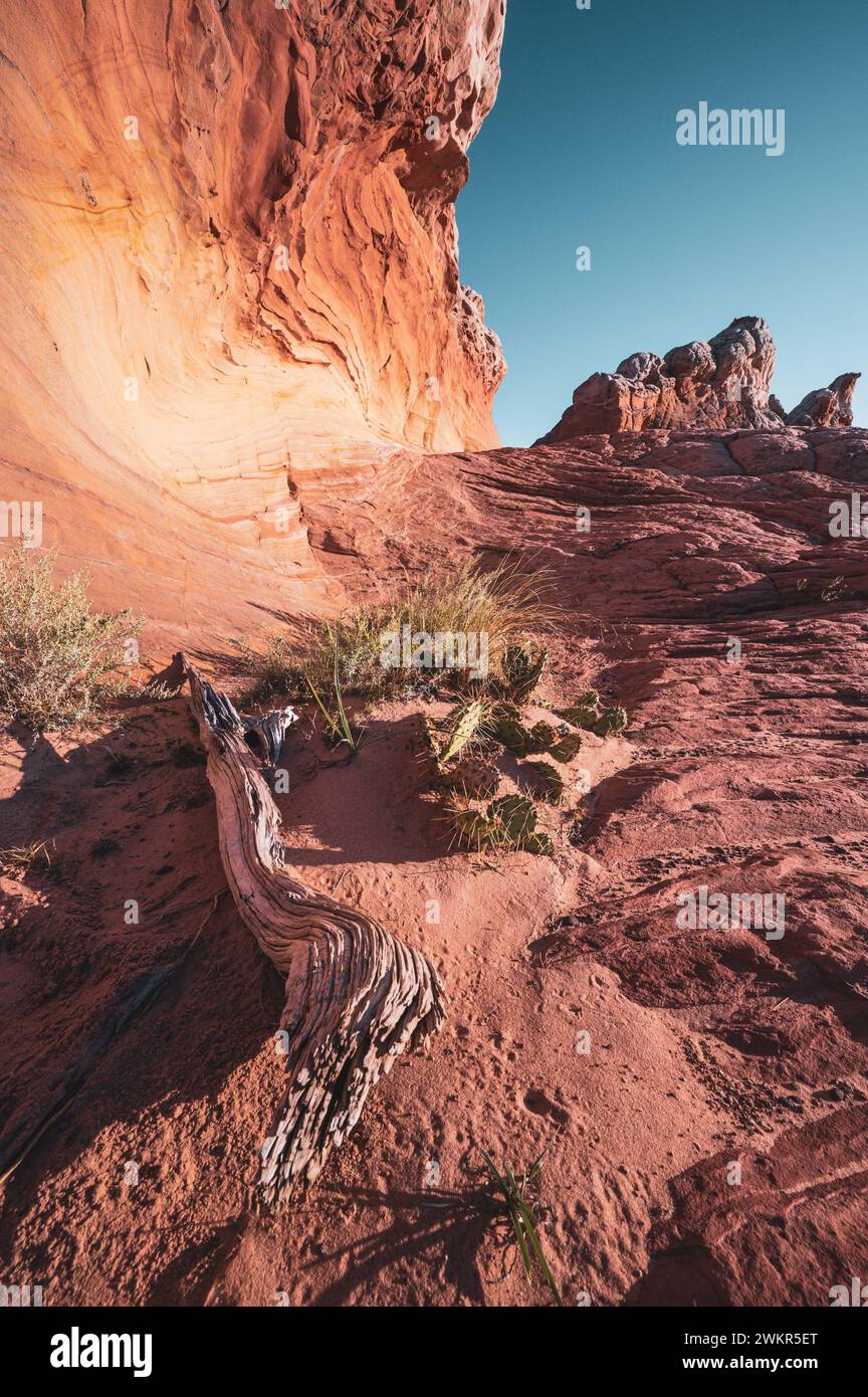UNITED STATES OF AMERICA, ARIZONA, WHITE POCKET: The White Pocket is an ...