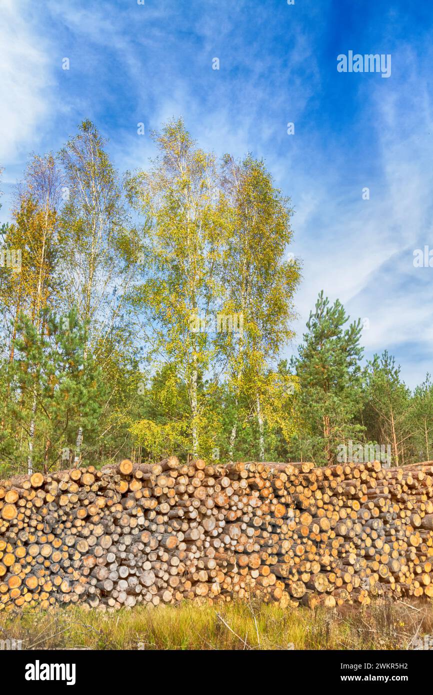 Landscape autumn road with colourful trees autumn Poland, Europe and ...