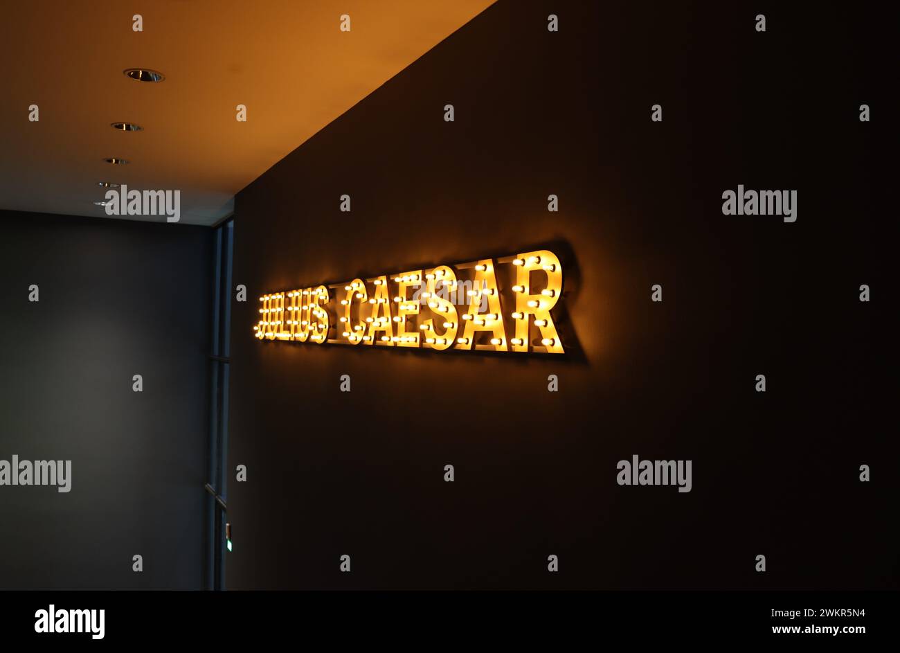 Julius Caesar - I came, I saw, I met my doom exhibition at H'Art Museum ...