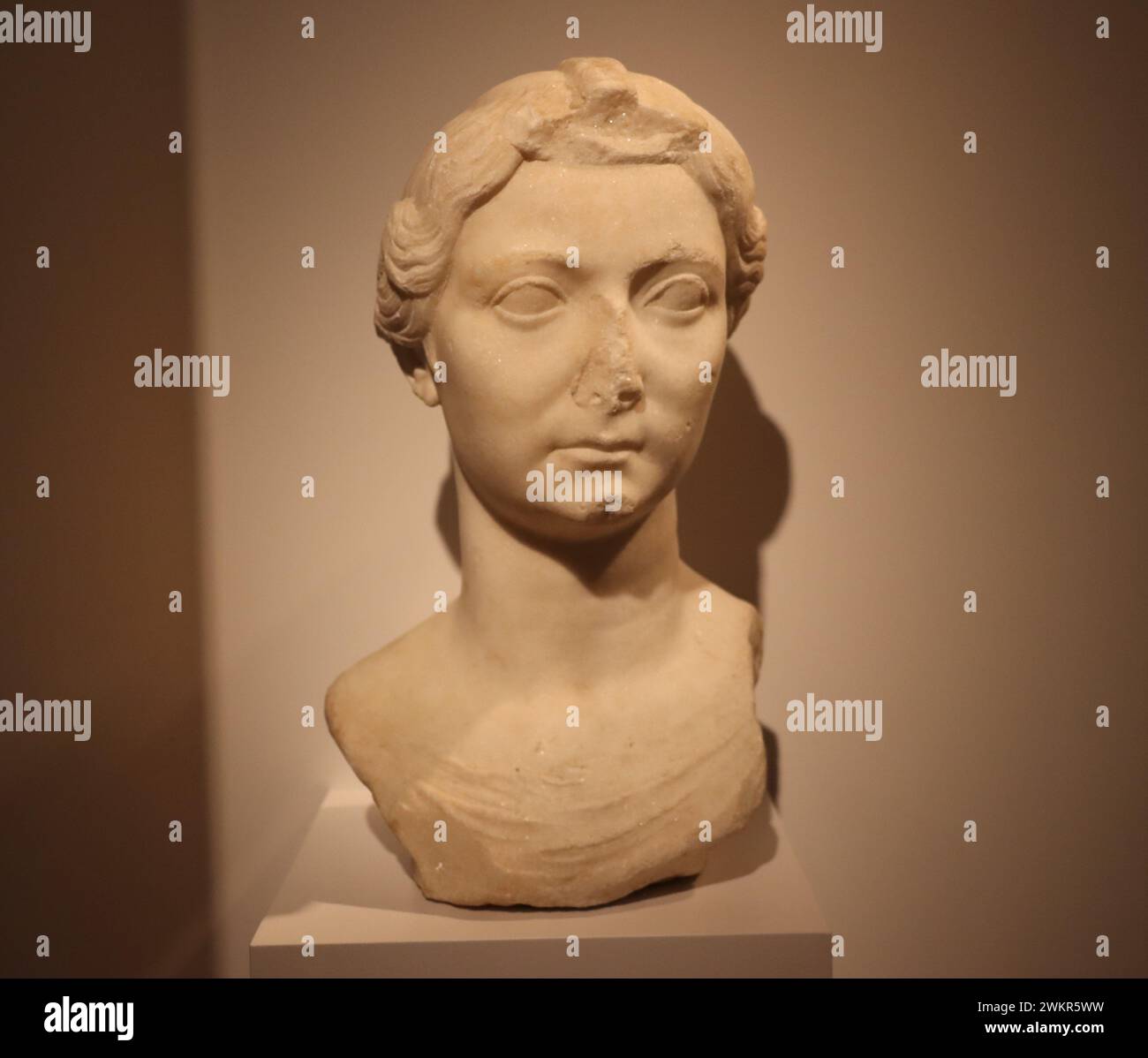 Julius Caesar - I came, I saw, I met my doom exhibition at H'Art Museum ...