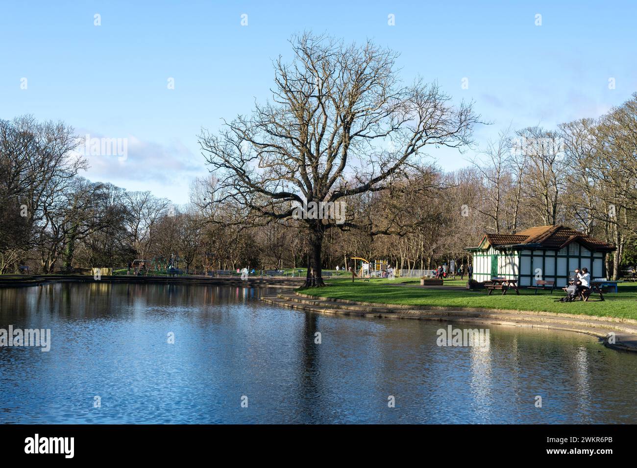 Newcastle upon Tyne, UK. February 16th 2024. Paddy Freeman's park, with ...