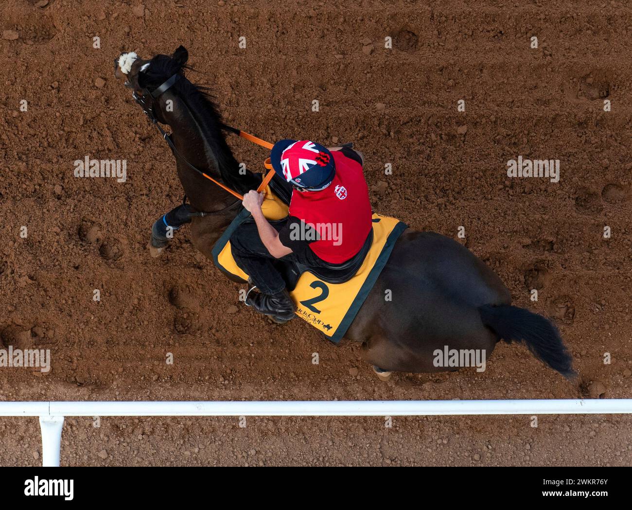 The Neom Turf Cup hopeful Astro King returns from the morning track ...