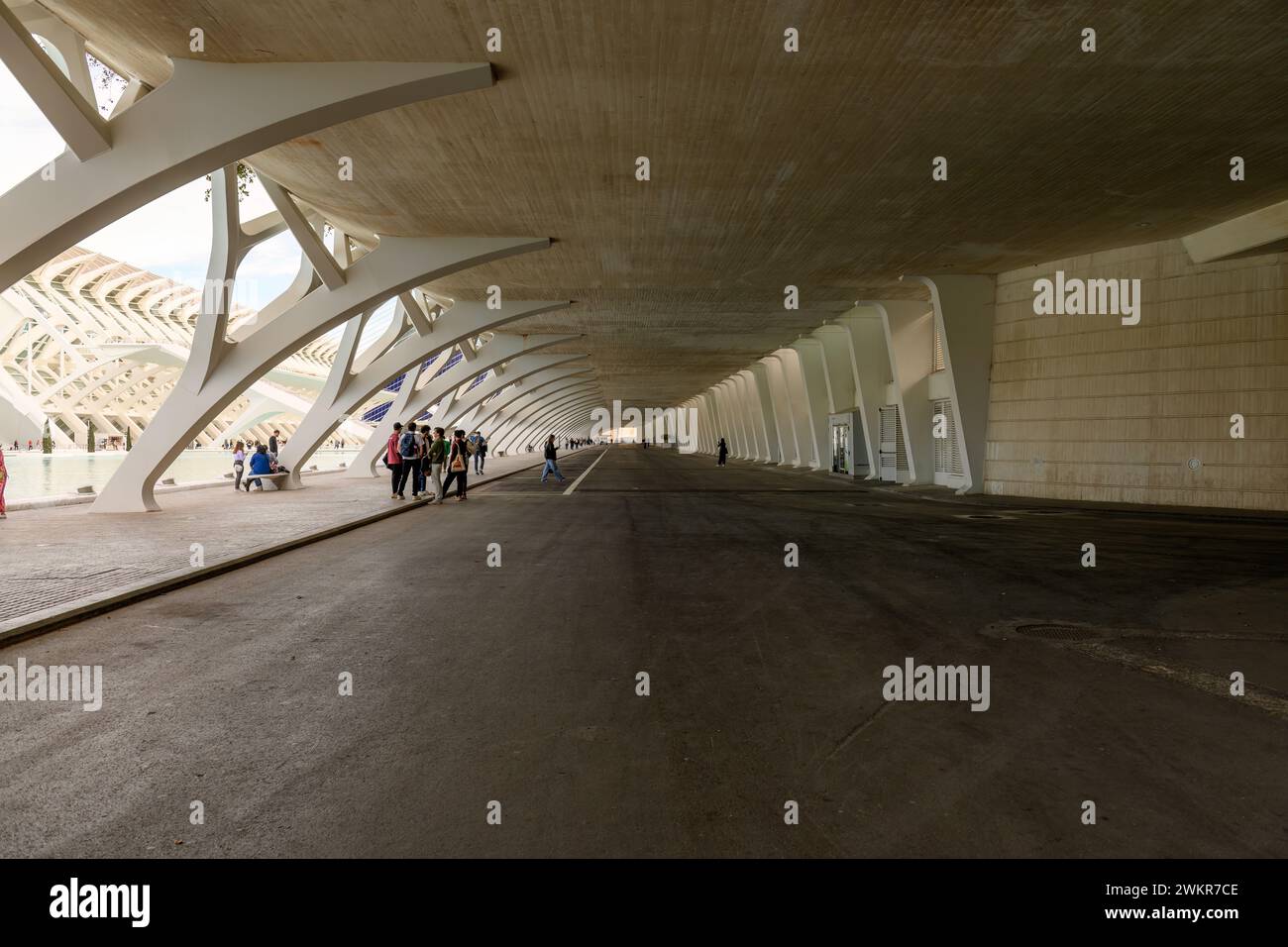 Daytime panorama of Valencia's City of Arts and Sciences, highlighting ...