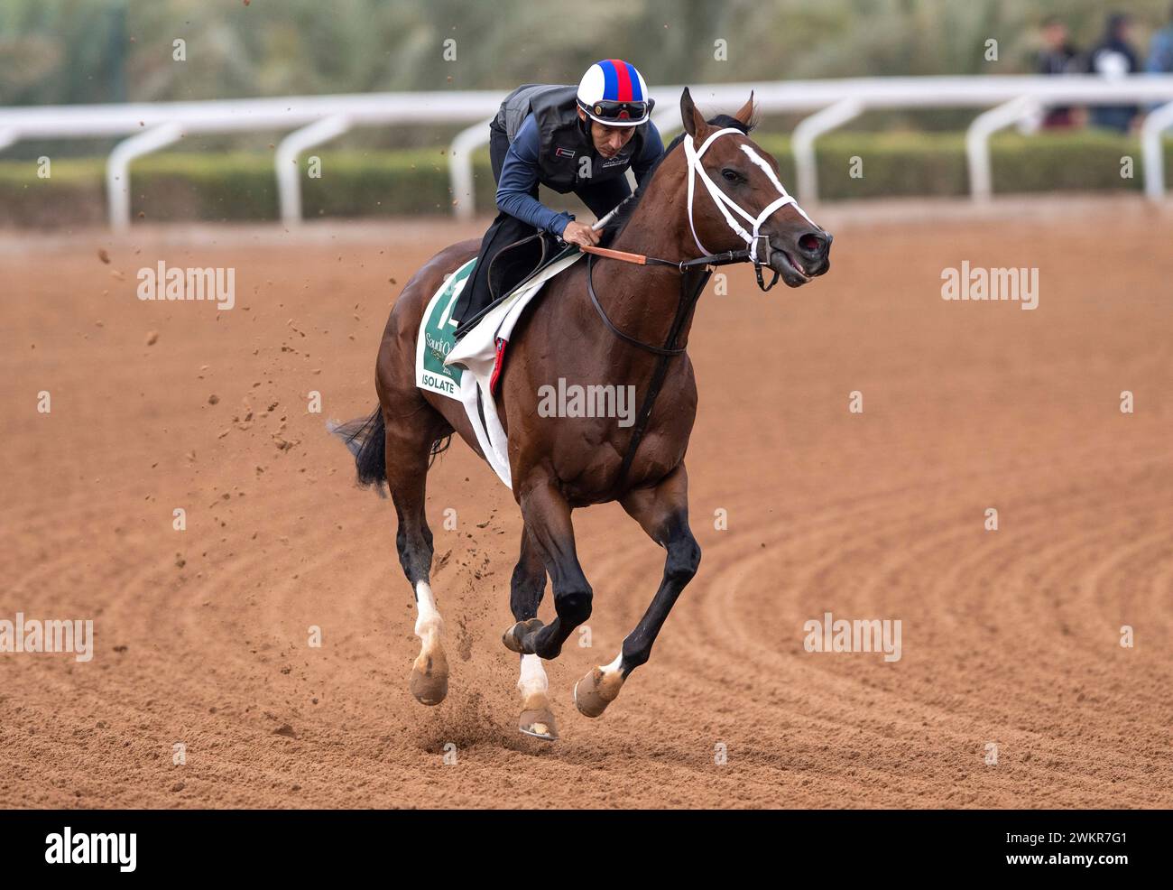 The Saudi Cup hopeful Isolate gallops with jockey Oscar Chavez during ...