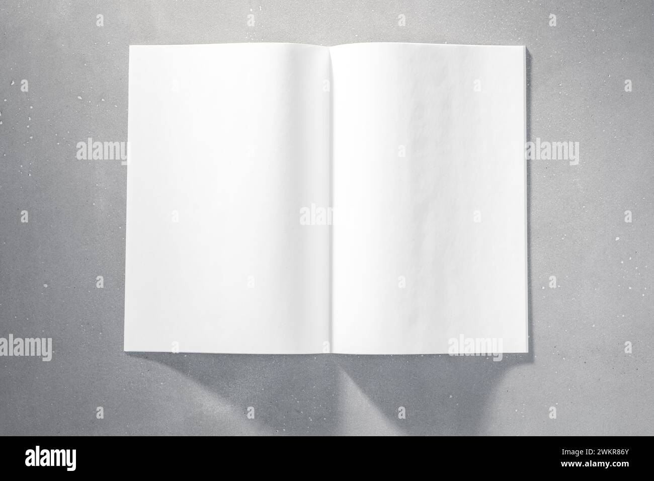 Empty open magazine or book with paper texture to overlay on your ...