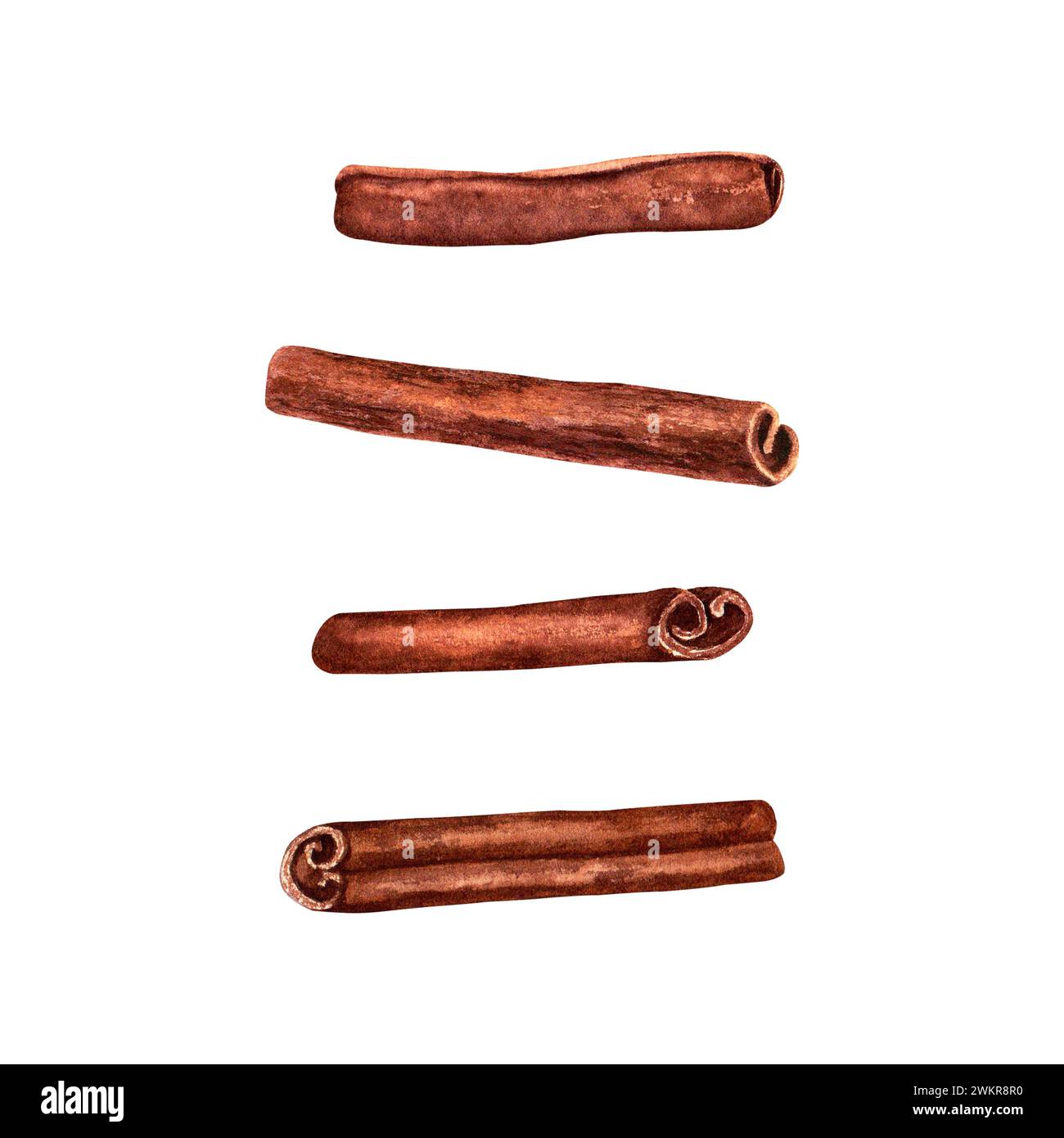 A set of rolled strips of cinnamon, aromatic spice, condiment. Hand ...
