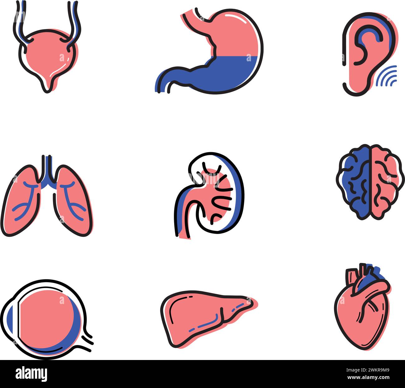 human Organ icons vector illustration Stock Vector Image & Art - Alamy