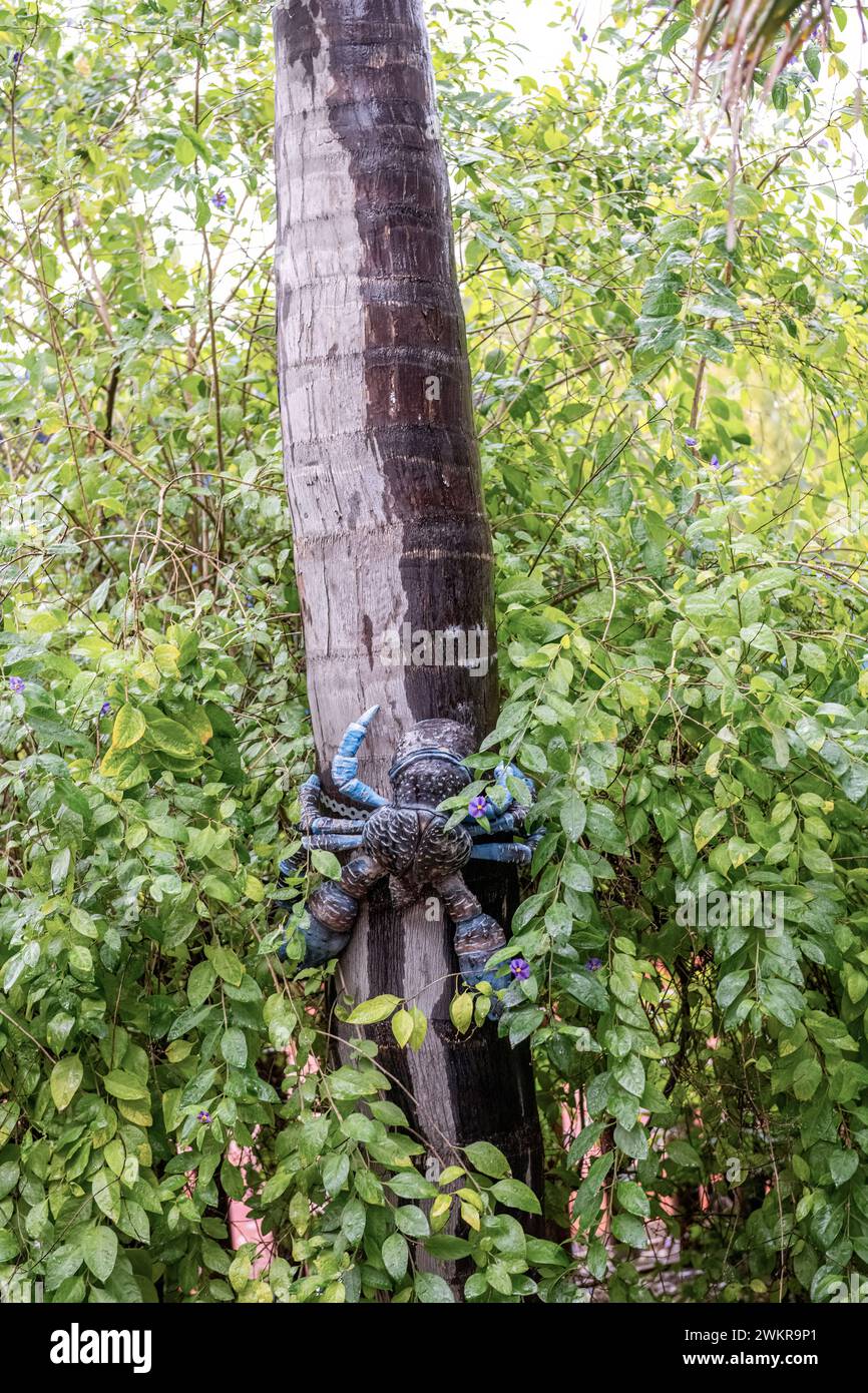 Coconut Crab Climbing a Palm Tree Surrounded by Foliage Stock Photo - Alamy