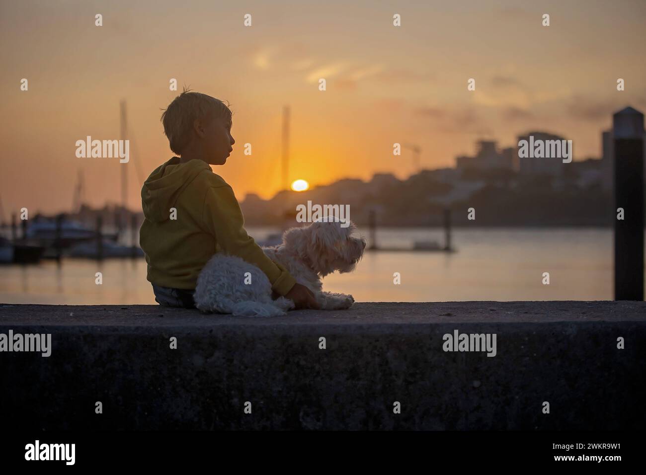 Children, boys, brothers, enjoying sunset over river with their pet ...