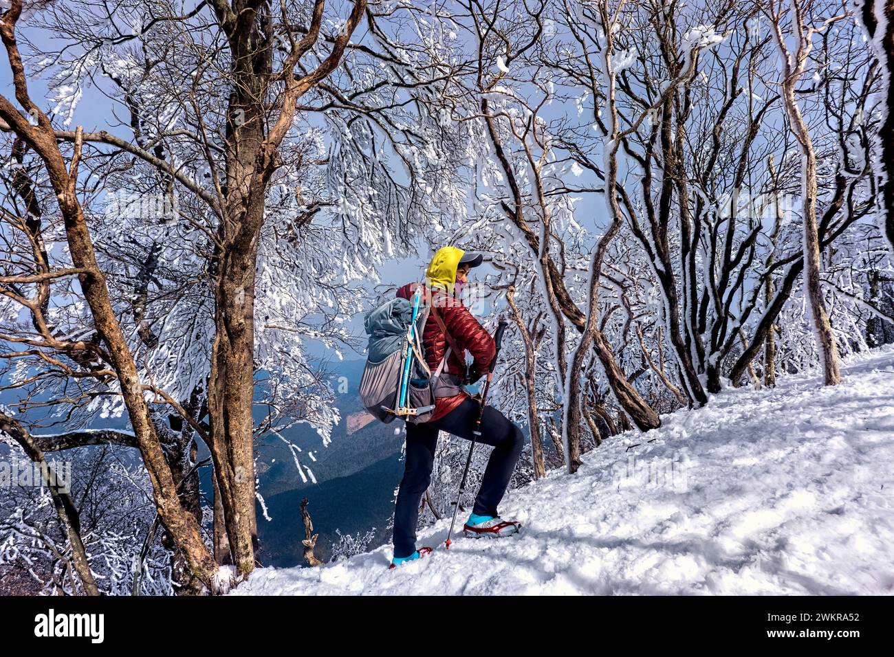 Climbing to the summit of Mount Takami in winter, Nara, Japan Stock ...