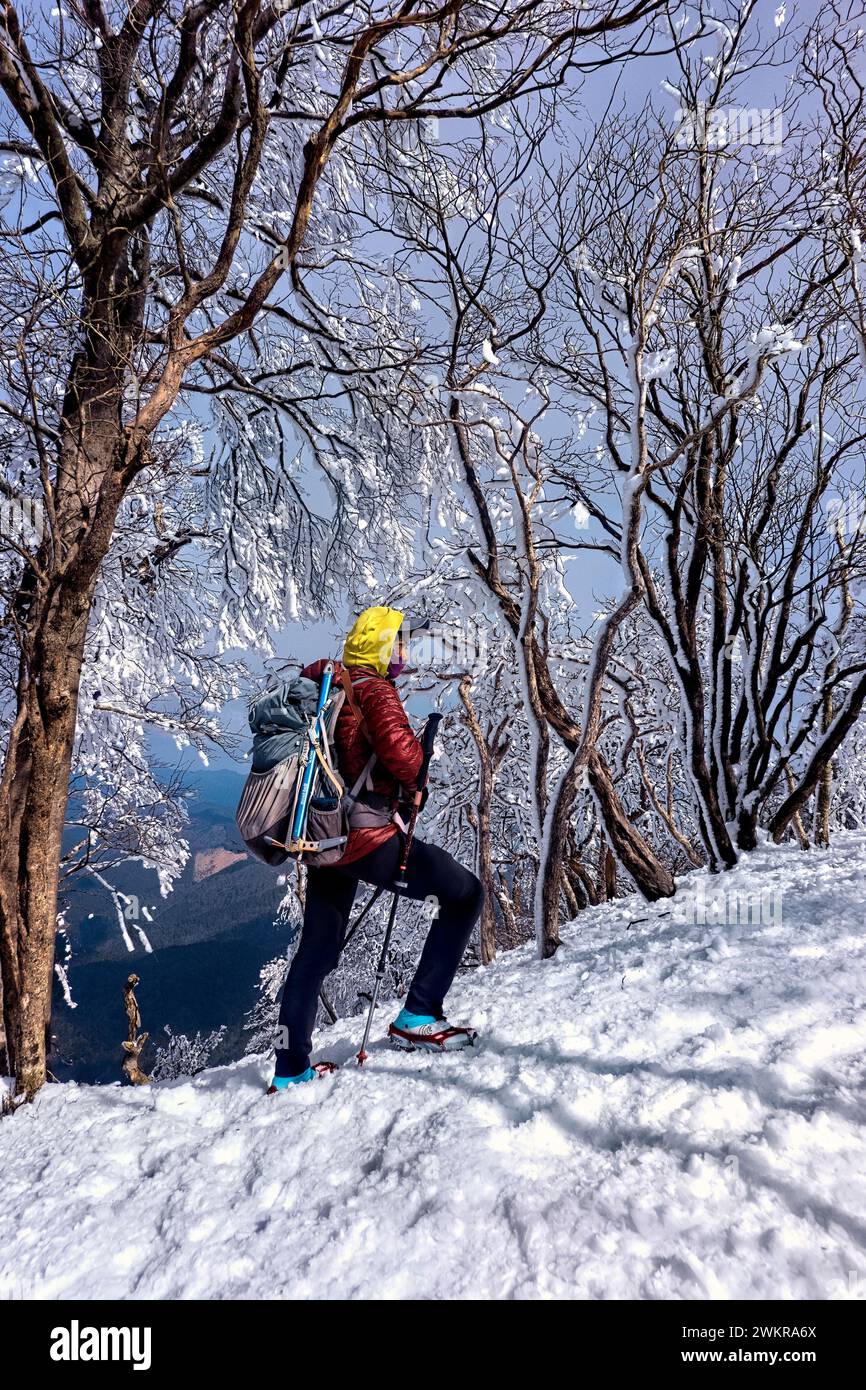 Climbing to the summit of Mount Takami in winter, Nara, Japan Stock ...