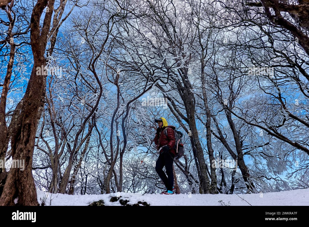 Climbing to the summit of Mount Takami in winter, Nara, Japan Stock ...