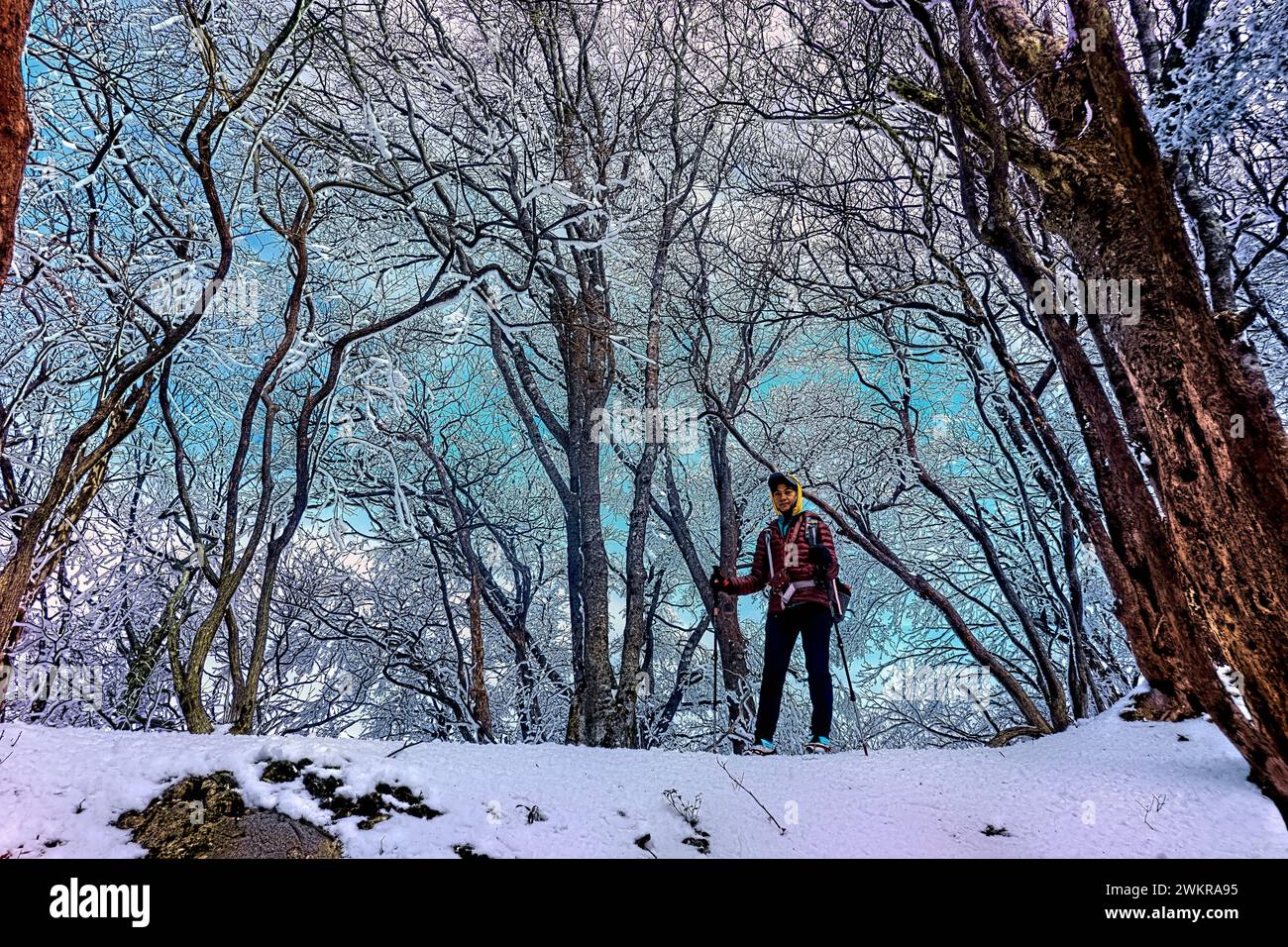 Climbing to the summit of Mount Takami in winter, Nara, Japan Stock ...