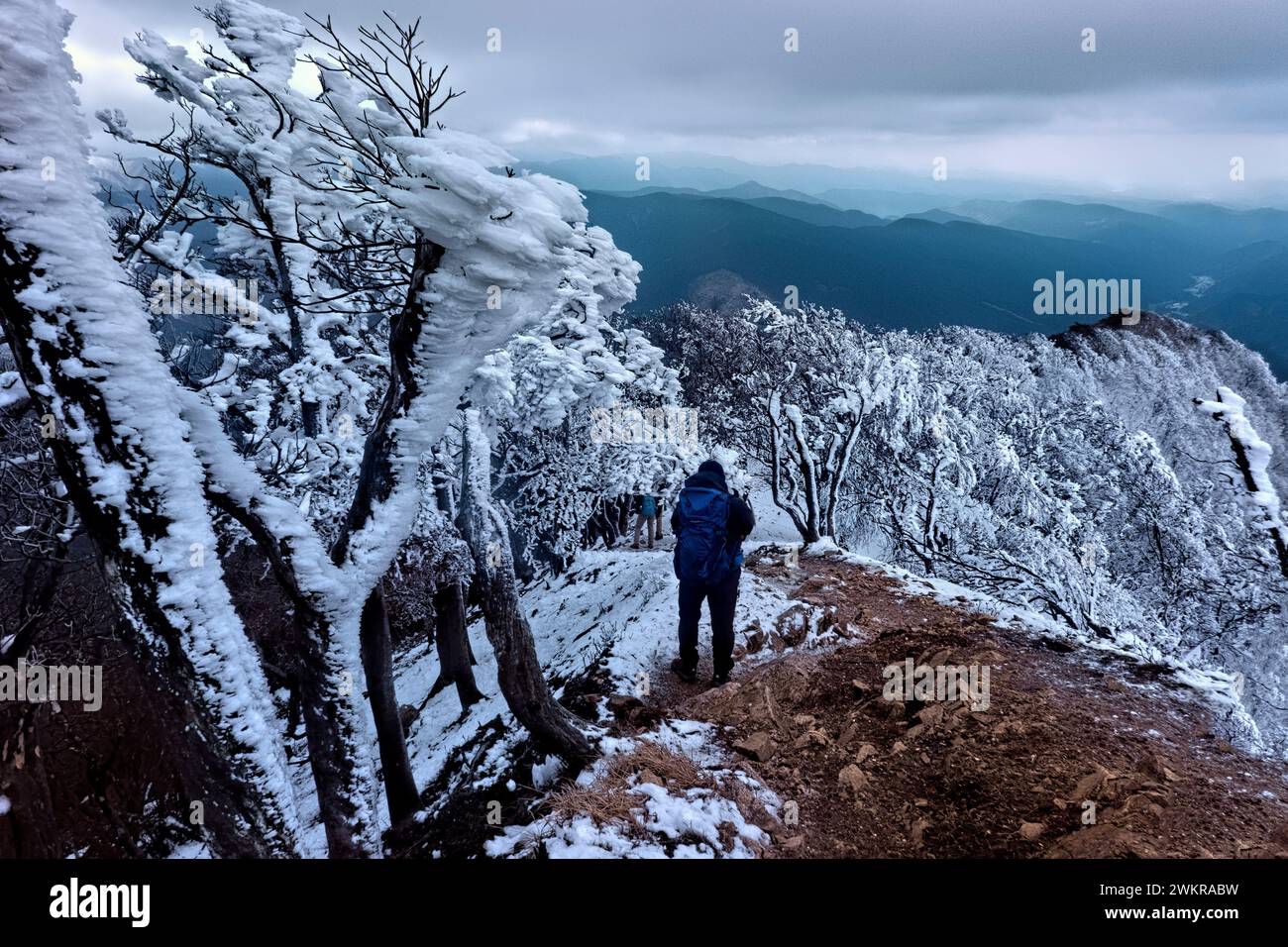 Trekking through the snow and rime ice to Mount Takami in winter, Nara ...