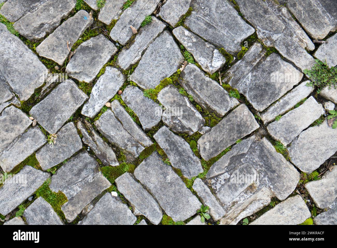 Old cobblestone pathway with green vegetation growing between the stone ...