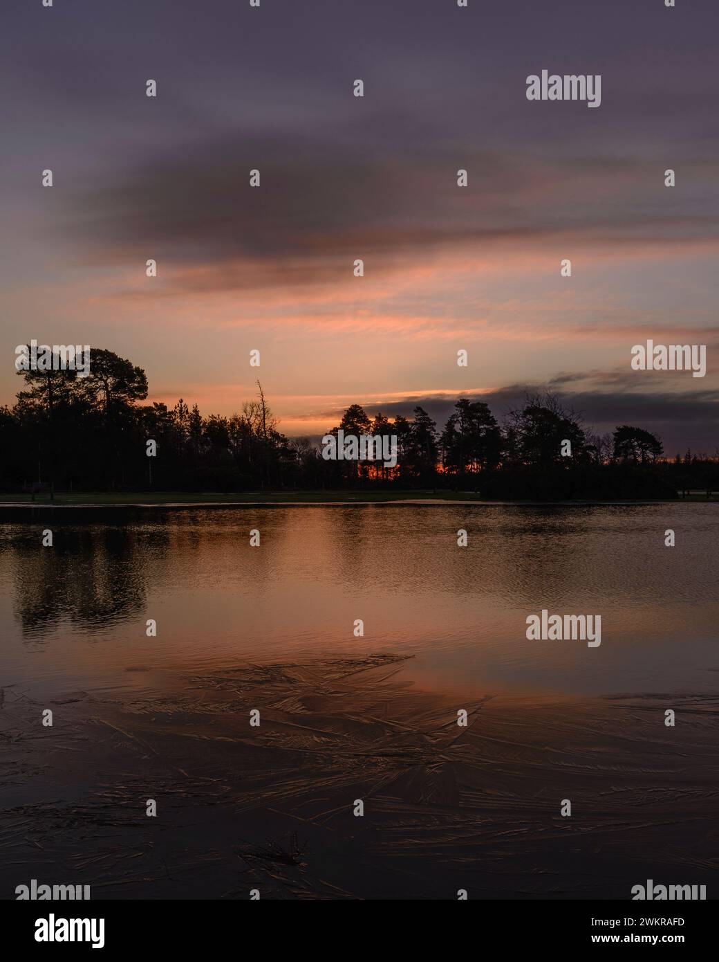 Very dark magenta hi-res stock photography and images - Alamy