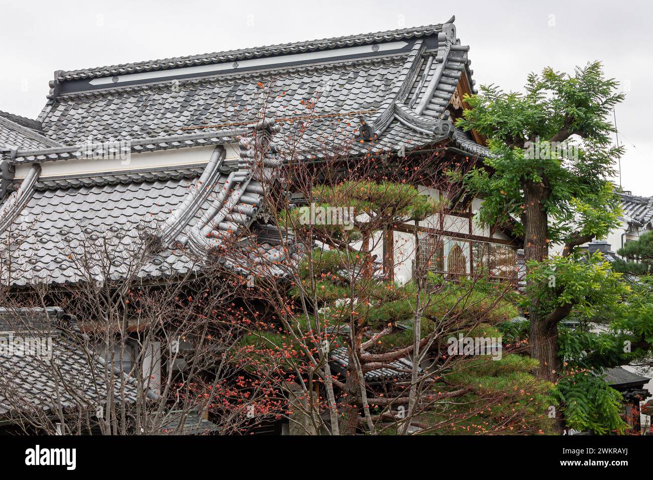 Nagano, Japan. The grounds of Zenko-ji, a Japanese Buddhist temple ...