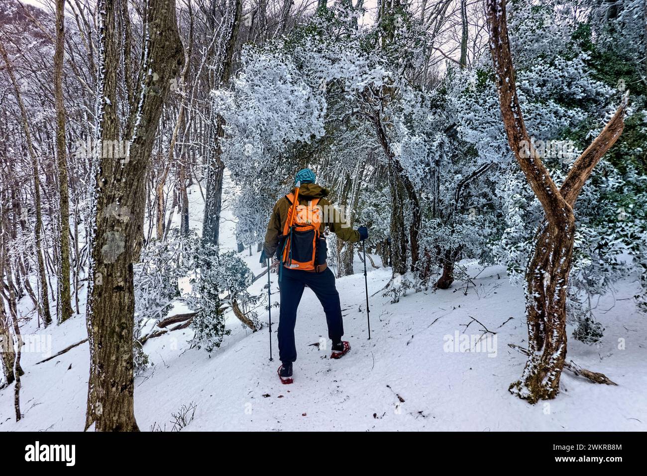Trekking through the snow and rime ice to Mount Takami in winter, Nara ...